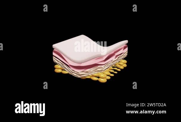 Stylized 3d rendering animation of the anatomy of the skin layers ...