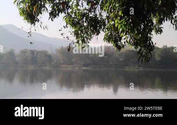 Reservoir cafe Stock Videos & Footage - HD and 4K Video Clips - Alamy