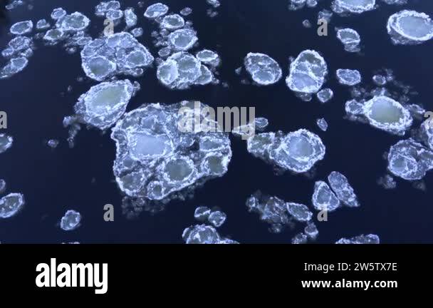 Melting ice flowing on water surface. Ice drift on the river. Global ...