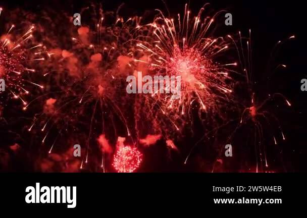 4K.Real fireworks background. Shining fireworks in the night sky ...