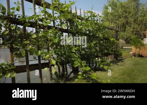 Pergola bridge Stock Videos & Footage - HD and 4K Video Clips - Alamy