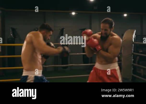 shirtless hispanic and bearded boxers fighting on boxing ring Stock ...