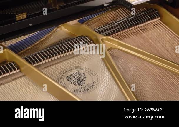 Visible strings Stock Videos & Footage - HD and 4K Video Clips - Alamy