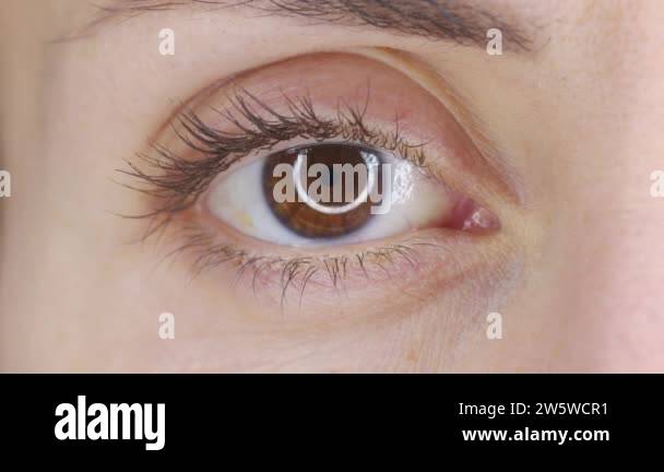 Beautiful human eye close-up. Young Woman brown one eye. Macro Closeup ...