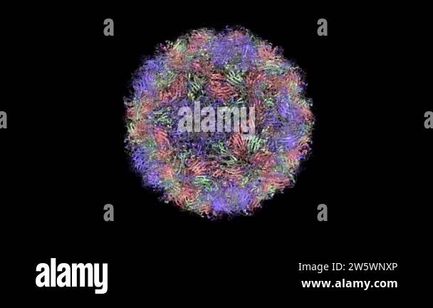 Crystal structure of human Enterovirus 71, animated 3D cartoon and ...