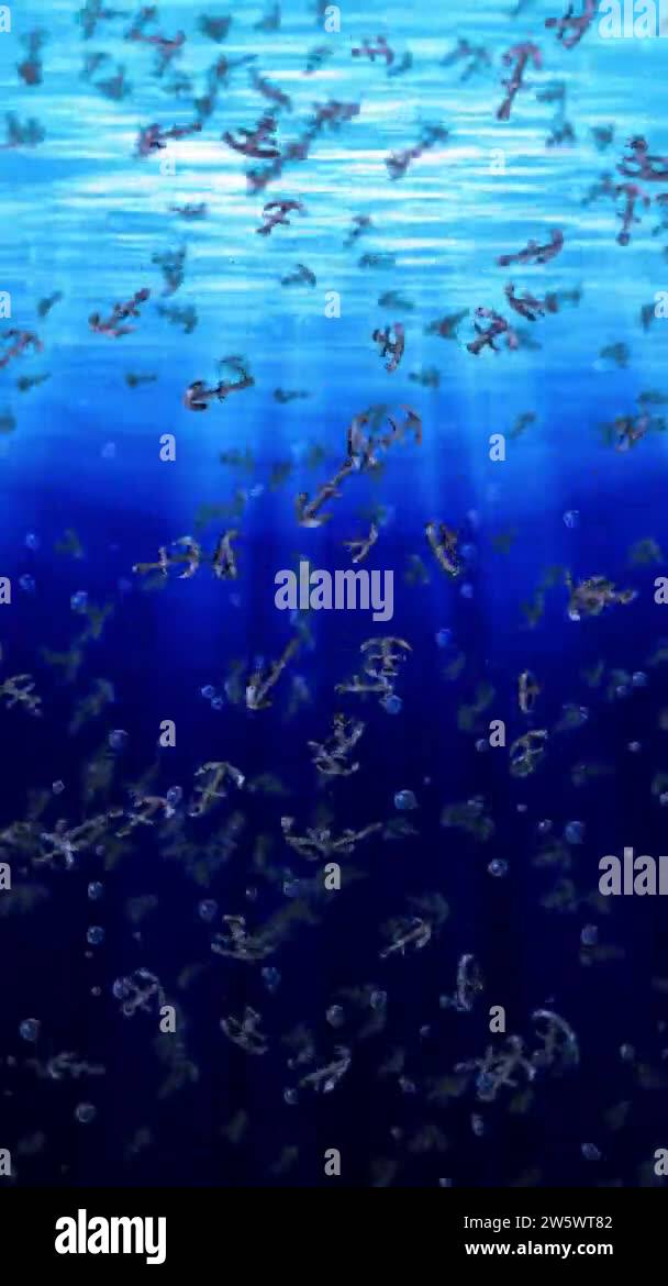 Flying many anchors in blue water. Ship and boat anchor. Marine icon ...