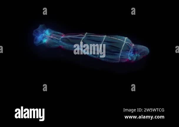 Human corpse Stock Videos & Footage - HD and 4K Video Clips - Alamy