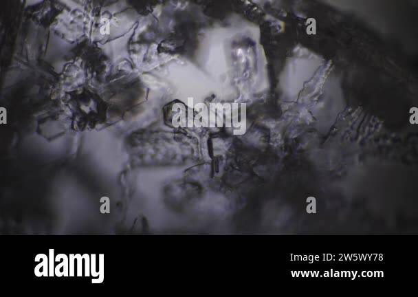 Ice crystals microscope Stock Videos & Footage - HD and 4K Video Clips ...