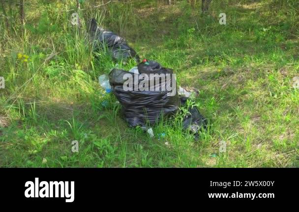 Trash and pollution left in a forest Stock Videos & Footage - HD and 4K ...