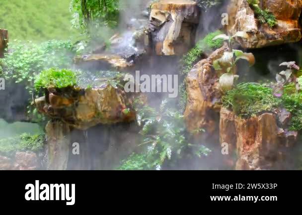 Grand animal sauvage Stock Videos & Footage - HD and 4K Video Clips - Alamy