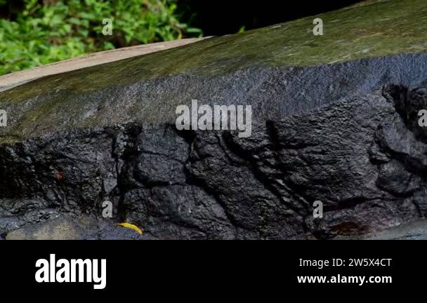 Bedrock layer Stock Videos & Footage - HD and 4K Video Clips - Alamy