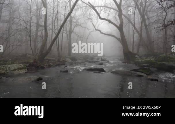 A wide view of a flowing river in the forest with trees overhanging the ...