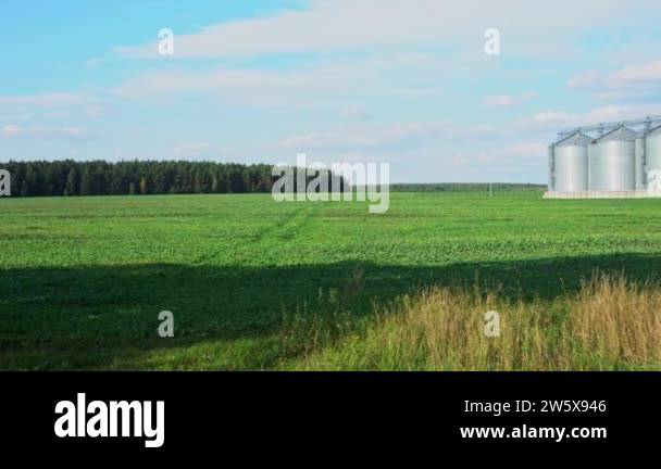 Pig farm side view. Modern pig breeding complex, industrial plant ...