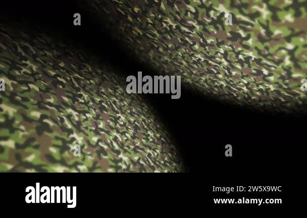 Green camouflage pattern background. Military uniform concept. Abstract ...