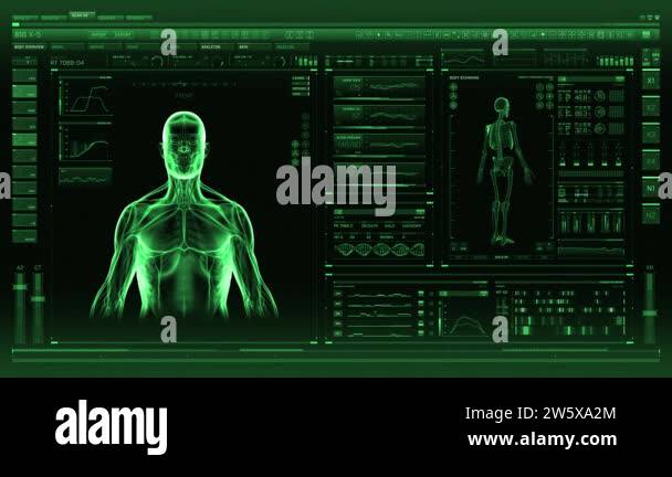 Green futuristic Interface showing analysis of human male anatomy scan ...