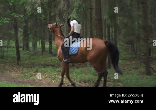 Female on horseback riding in the forest, horse walk along a forest ...