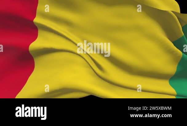 Guinean national flag Stock Videos & Footage - HD and 4K Video Clips ...