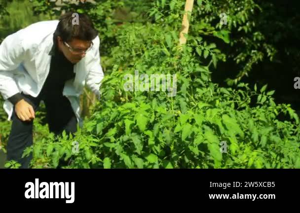 Botany plant science Stock Videos & Footage - HD and 4K Video Clips - Alamy
