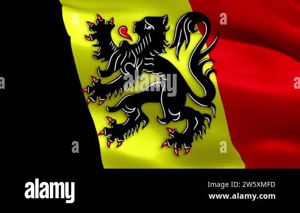 Flemish Community flag Closeup 1080p Full HD 1920X1080 footage video ...