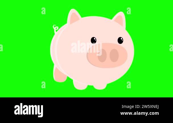 Pig on chroma key Stock Videos & Footage - HD and 4K Video Clips - Alamy