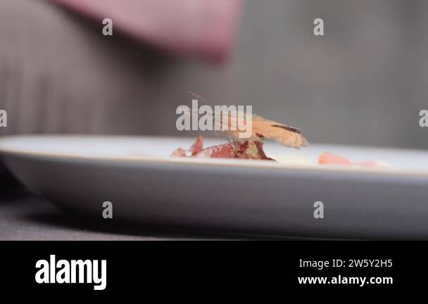 Meal on wing Stock Videos & Footage - HD and 4K Video Clips - Alamy