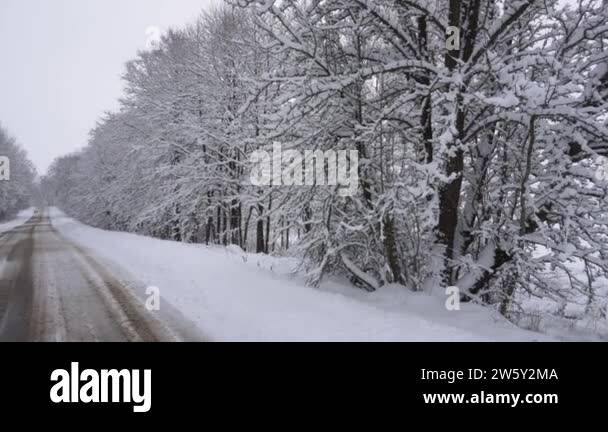 Country road through a snowy forest, a lot of snow, trees in the snow ...