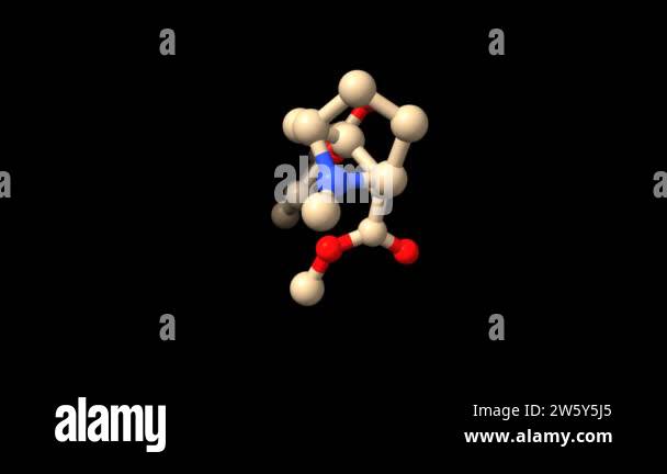 Animated 3D ball-and-stick and spacefill model of cocaine, a ...