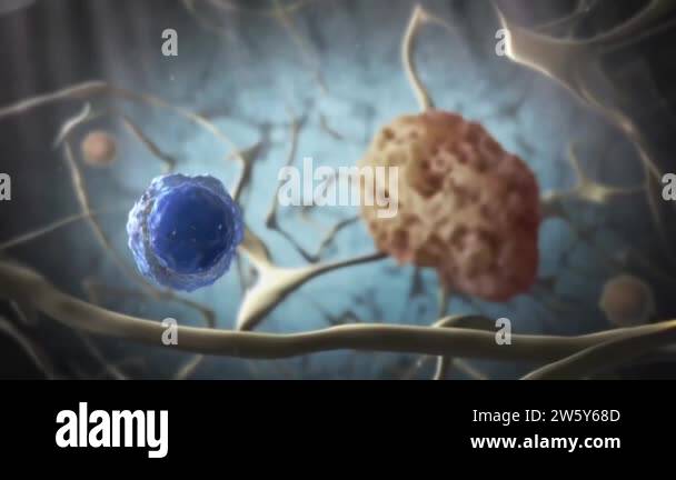 Bacteria of different shapes, rod-shaped bacteria and cocci, human ...