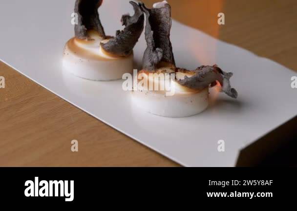 Pharaoh Snakes, Chemical Experiment with Calcium Gluconate Tablets, Dry ...