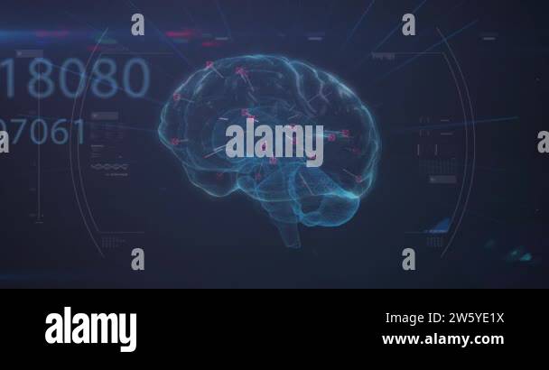 Multiple increasing numbers over spinning human brain against blue ...