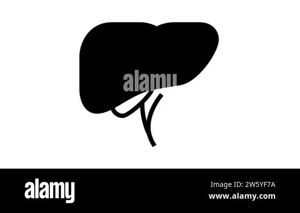 Liver line Stock Videos & Footage - HD and 4K Video Clips - Alamy