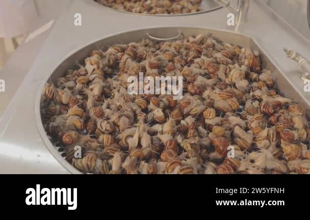 The modern method of snail extraction of mucin. Snails in cosmetology ...