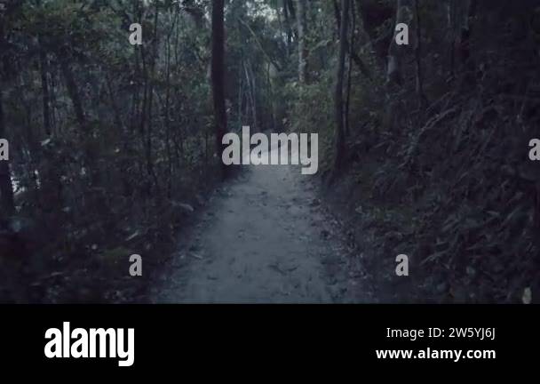 Spooky path woods Stock Videos & Footage - HD and 4K Video Clips - Alamy
