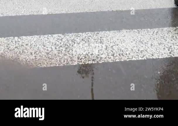 Perspective asphalt road crosswalk stripes Stock Videos & Footage - HD ...