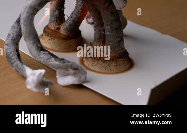 Pharaoh Snakes, Chemical Experiment with Calcium Gluconate Tablets, Dry ...