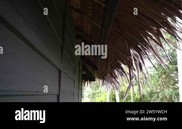 Rooftop of Malays kampung house made of lidi atap Stock Video Footage ...