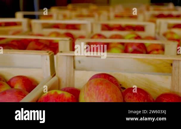 Crisp boxes Stock Videos & Footage - HD and 4K Video Clips - Alamy