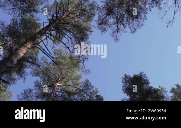 The mighty sky Stock Videos & Footage - HD and 4K Video Clips - Alamy