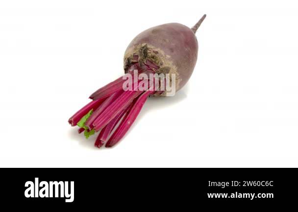 White background beet stem Stock Videos & Footage - HD and 4K Video ...