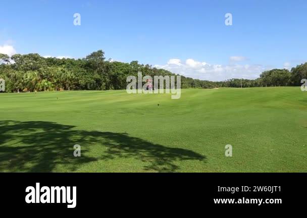 Mower grass equipment working on a summer day. Lawn mowing, Mexico ...