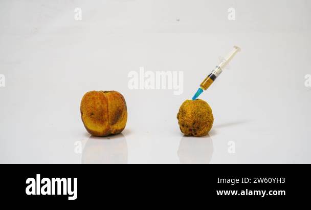 Peach rotting time lapse, the concept of plant ginetic modification ...
