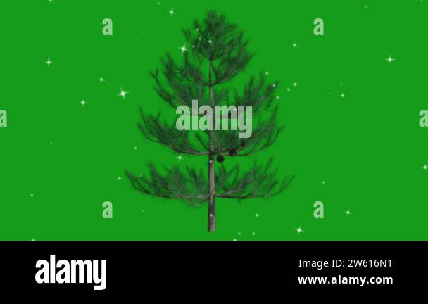 Christmas tree and twinkling stars green screen motion graphics Stock ...