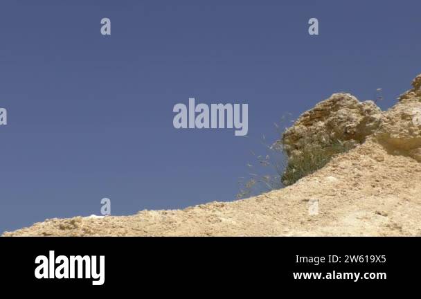 Dry colour Stock Videos & Footage - HD and 4K Video Clips - Alamy