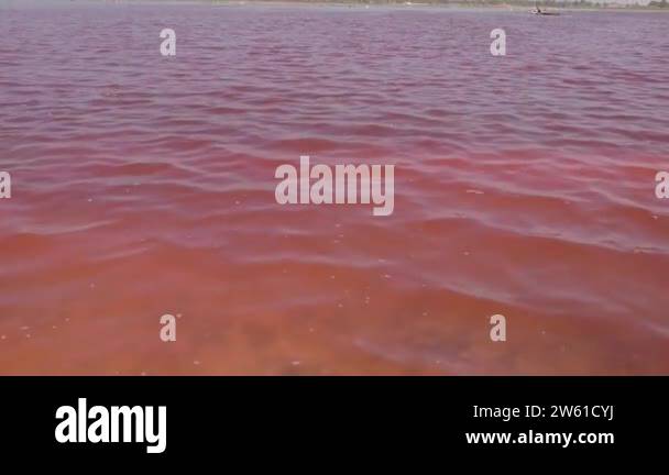 Lake retba lac rose Stock Videos & Footage - HD and 4K Video Clips - Alamy
