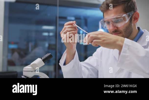 Scientist taking samples from tubes in the laboratory, uses Petri dish ...