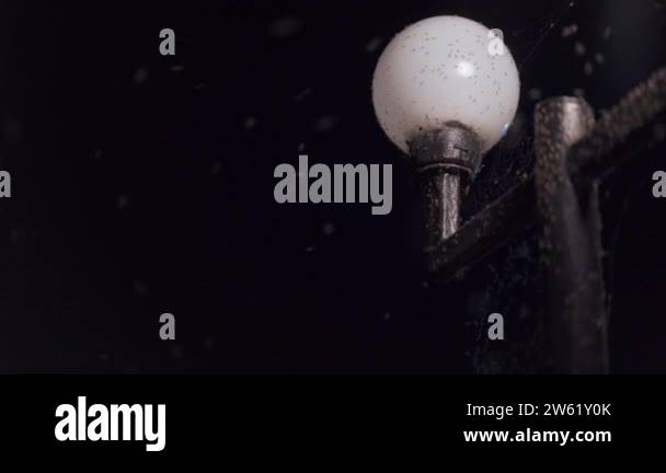 Swarm insects Stock Videos & Footage - HD and 4K Video Clips - Alamy