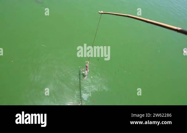 Grab jaws Stock Videos & Footage - HD and 4K Video Clips - Alamy