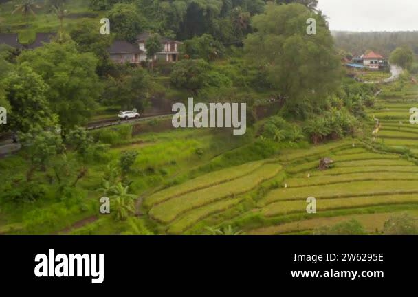 Cars driving on the mountain road past farm rice fields in Bali. Aerial ...