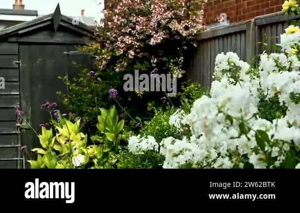 Time-Lapse of Flowers in a British Back Garden with a Green Shed Along ...