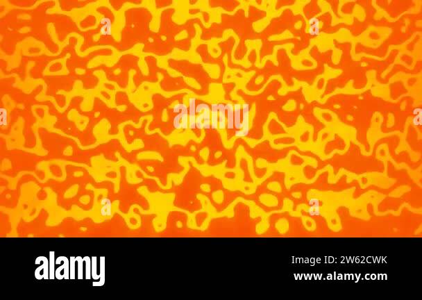Abstract Patterns Shapes Morphing Background Seamless Loop Stock Video ...